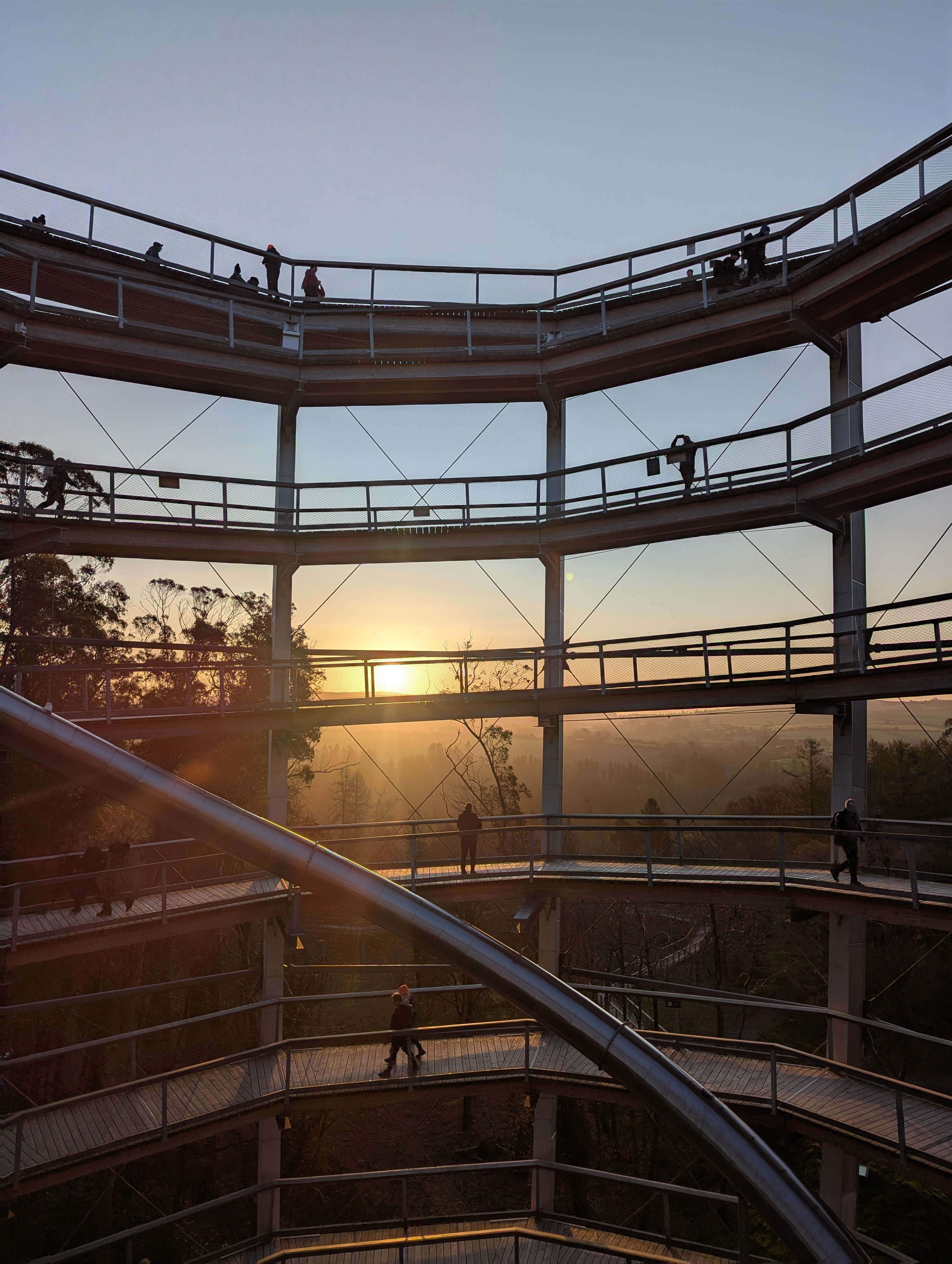 Working At EAK Ireland Treetop Walks | Great Place To Work? Ireland